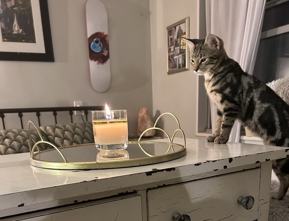 Why Do We Use Candles? – Keap Candles